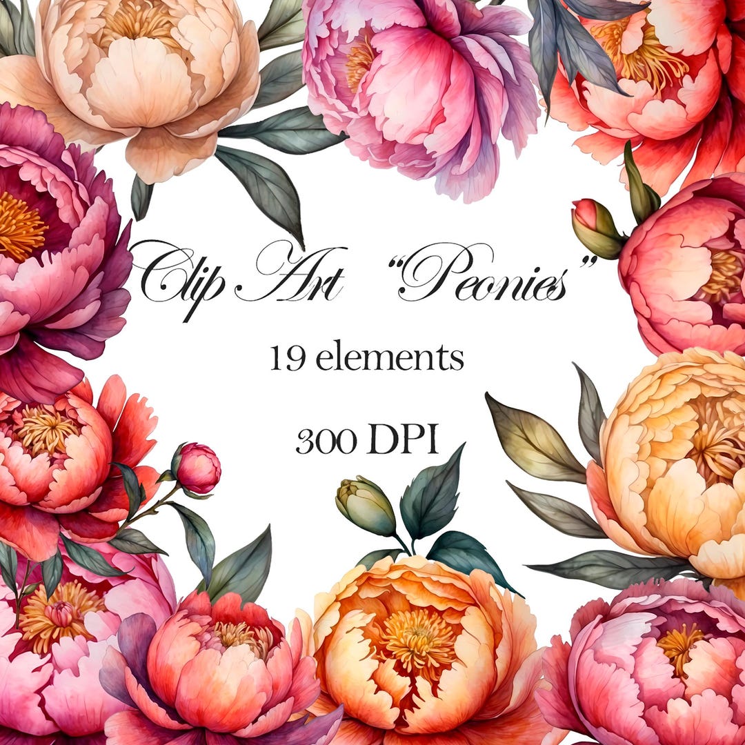 Watercolor Peonies Clipart, Elements for Invitations, Peonies Download ...