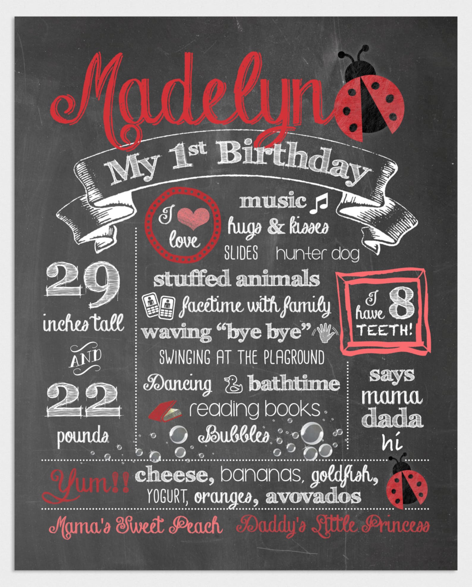 1st Birthday Poster Custom Printable PDF Lady Bug - Etsy