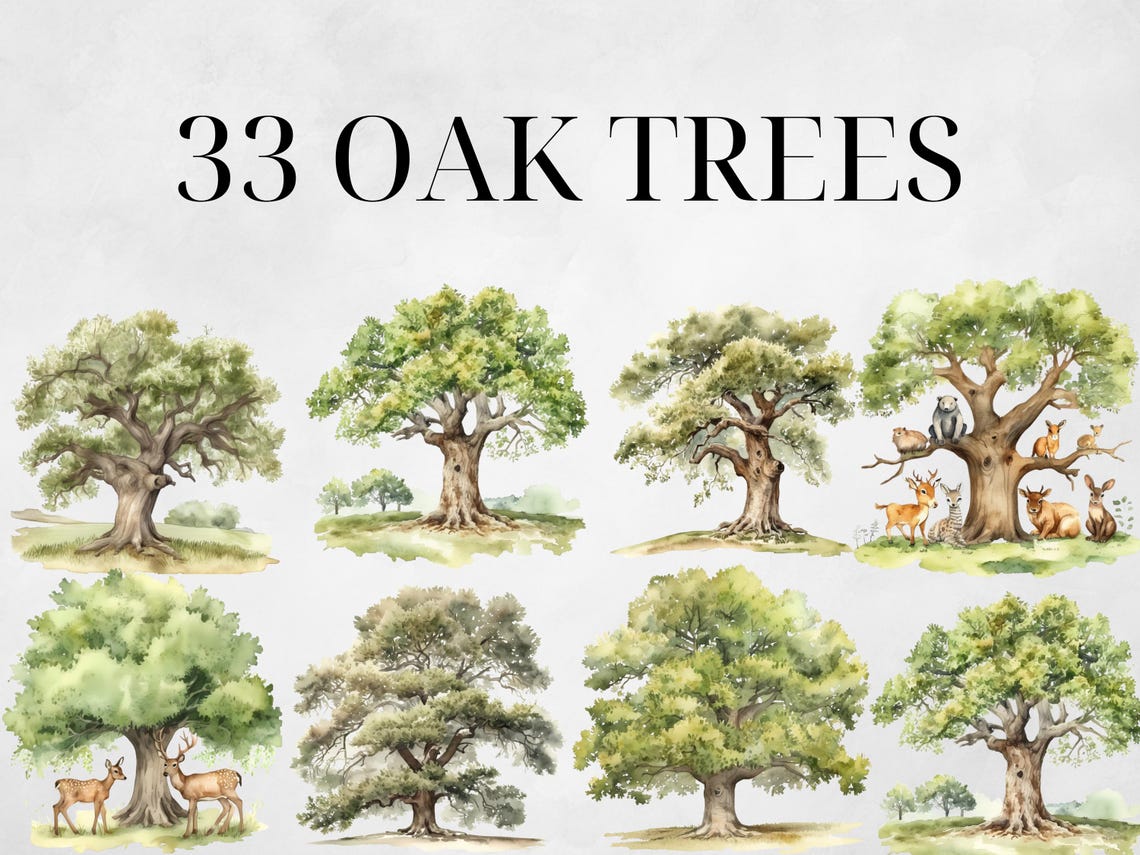 Oak Tree Clipart Pack, Oak Tree Clipart, Oak Tree Print, Oak Tree Art ...