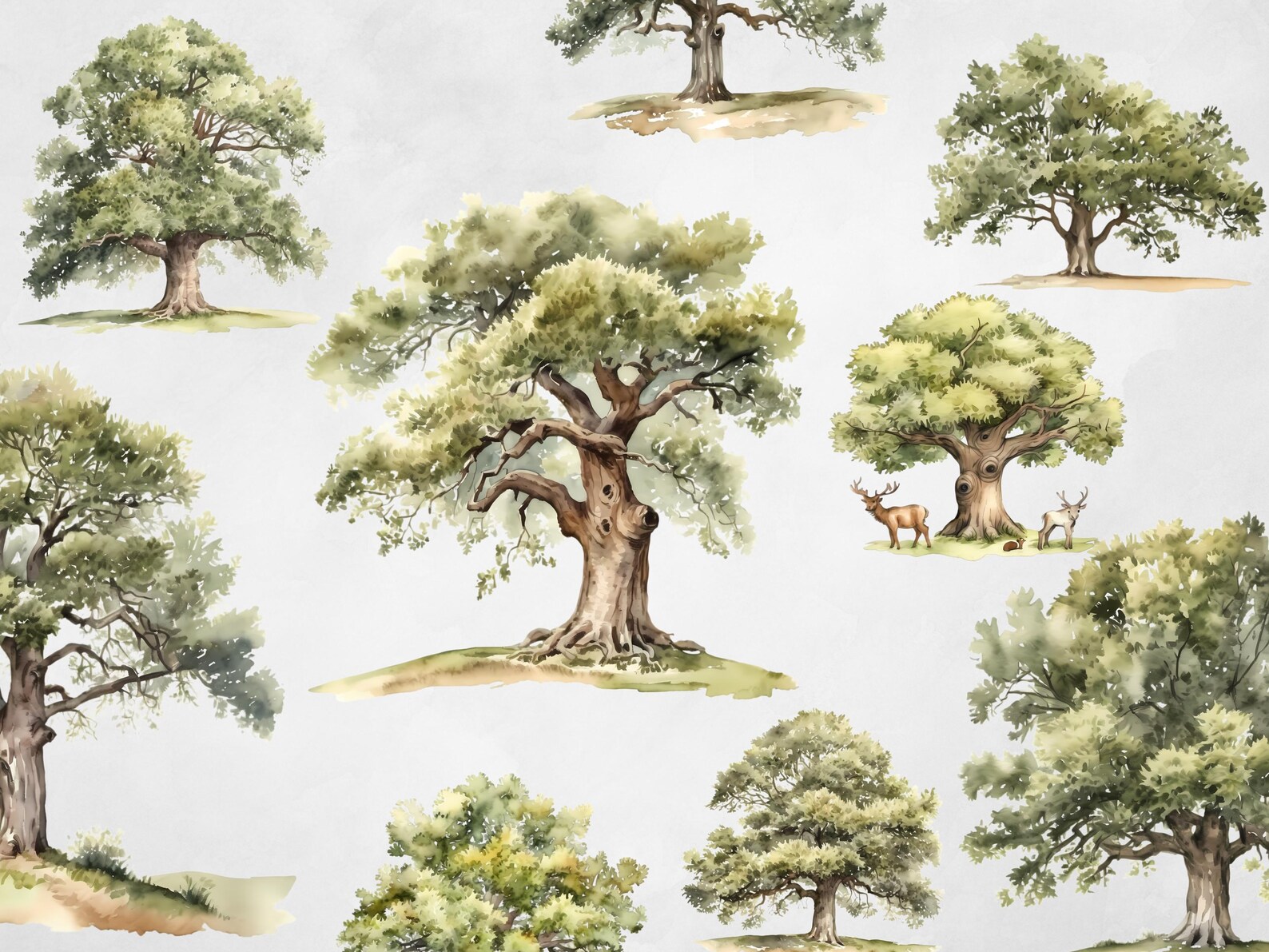 Oak Tree Clipart Pack, Oak Tree Clipart, Oak Tree Print, Oak Tree Art ...