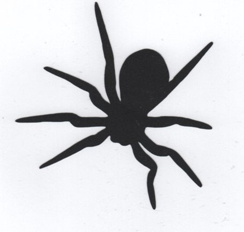 Halloween Spider Tarantula Paper Cut Outs Cutout Silhouette Paper - Etsy