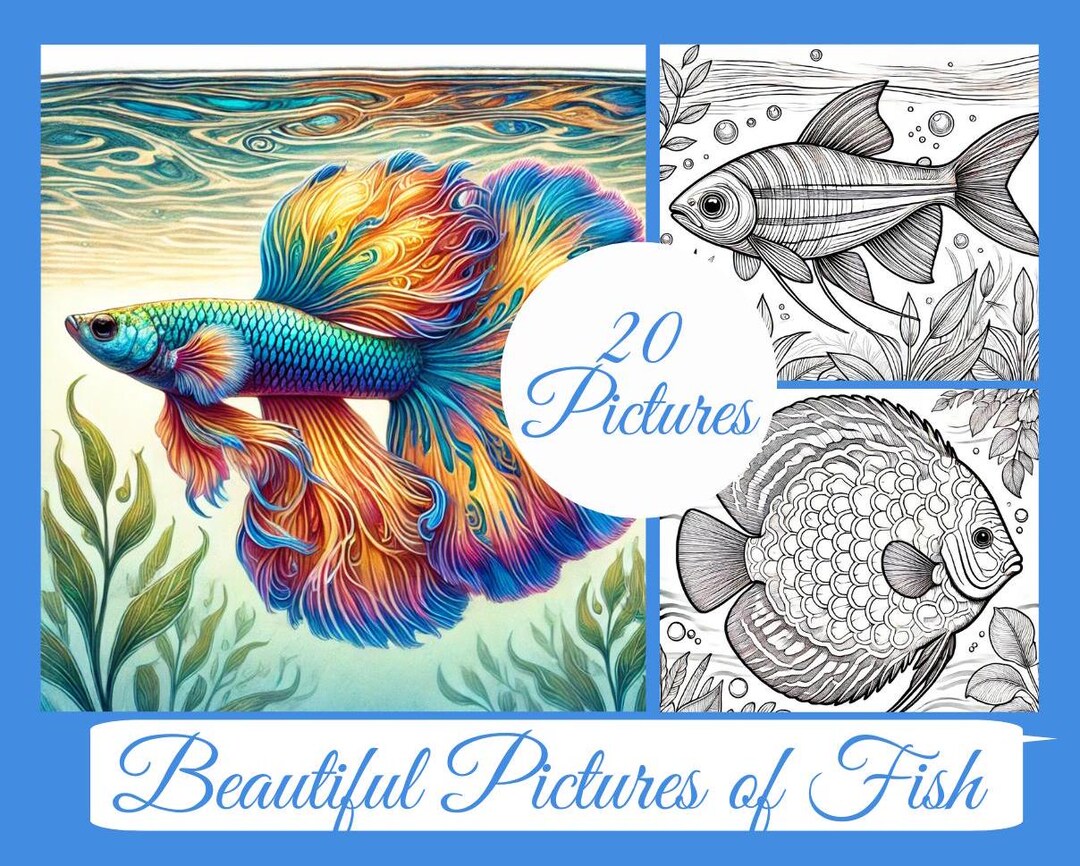 20 Colorful Fish Illustrations - Aquarium Fish Art for Coloring and ...