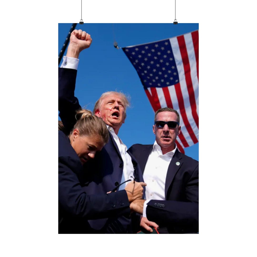 Donald Trump Iconic Rally Photo Matte Wall Art Print, Political Home ...