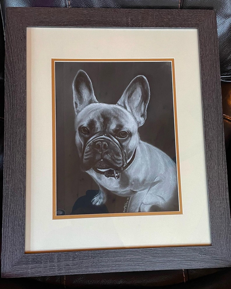 Frenchie - 11x14 Commissioned Charcoal Drawing - Etsy