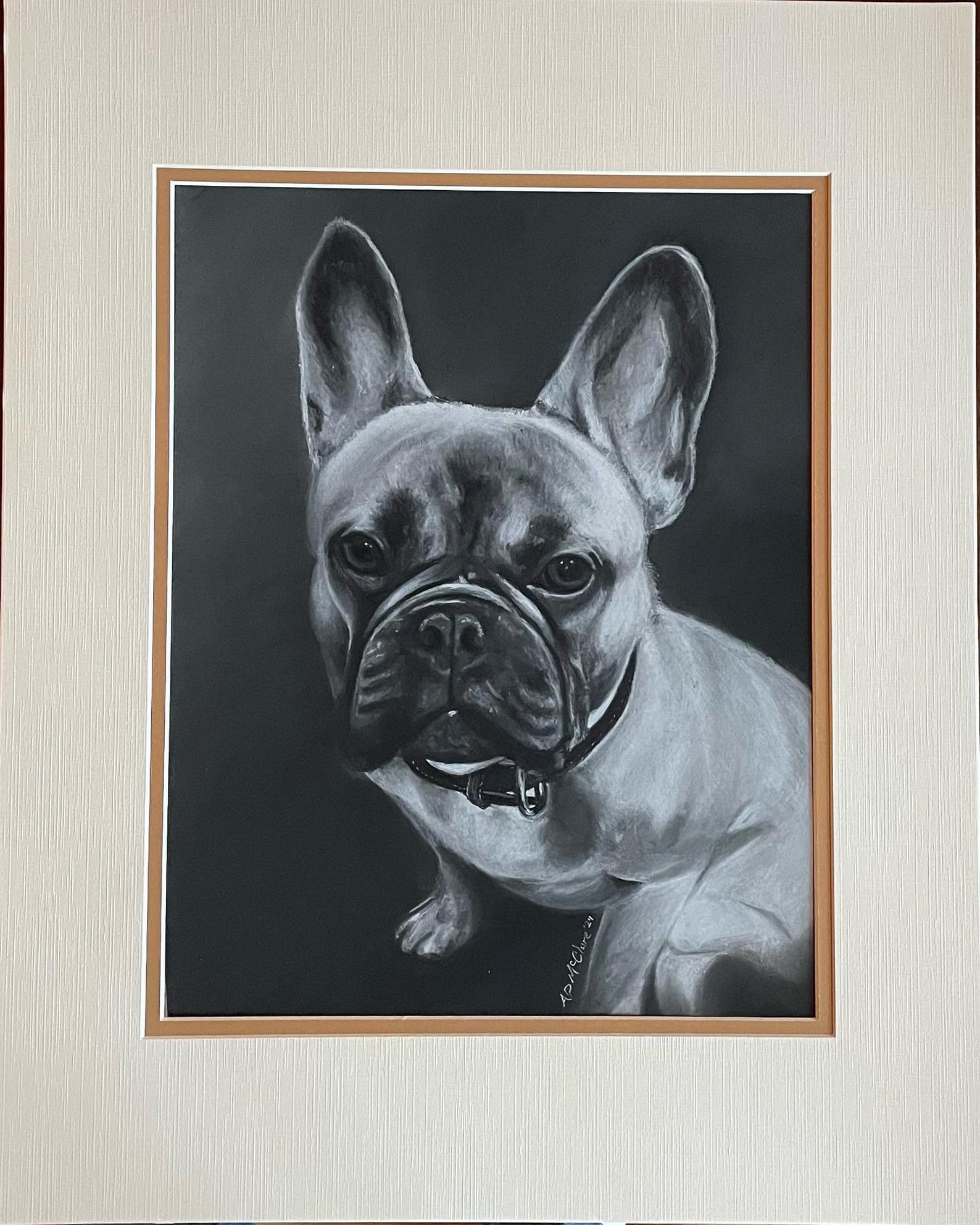 Frenchie - 11x14 Commissioned Charcoal Drawing - Etsy