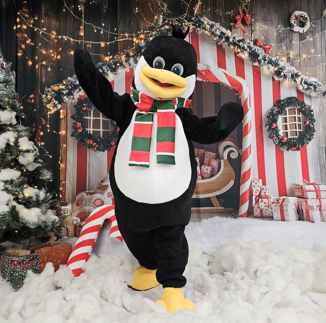 Mascot, Cartoon Mascot, Adult Mascot, Mascot Costume, Cartoon Costume ...