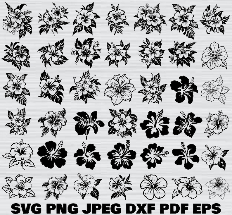 Hibiscus Flower SVG Bundle, Hibiscus Flowers and Plumeria SVG and PNG ...