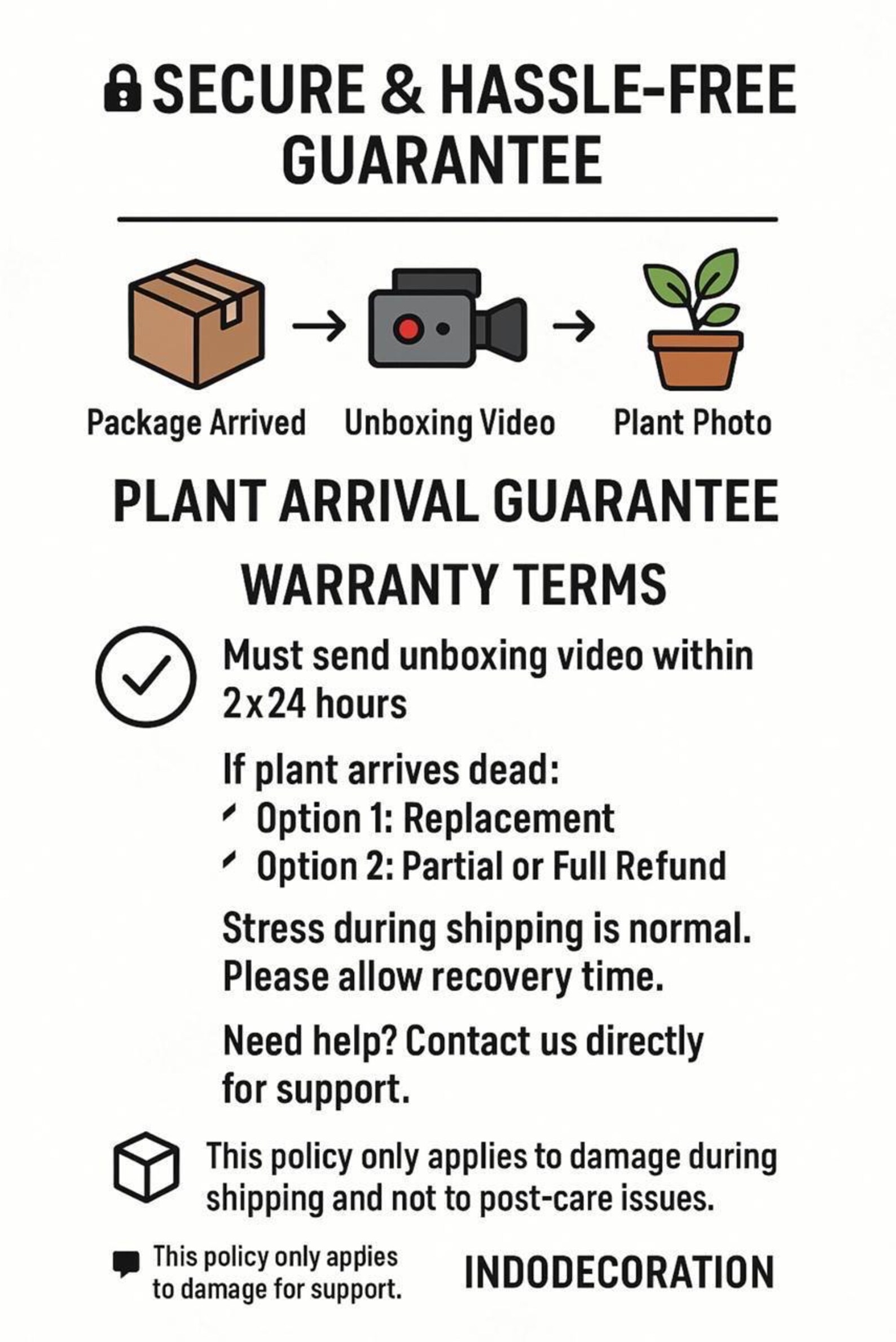 Unique Shakan Style Bonsai Tree With Natural Shari - Aged Informal ...