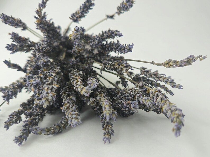 Fragrant Dried Lavender Bunch Handpicked Fragrant Purple, Variety ...
