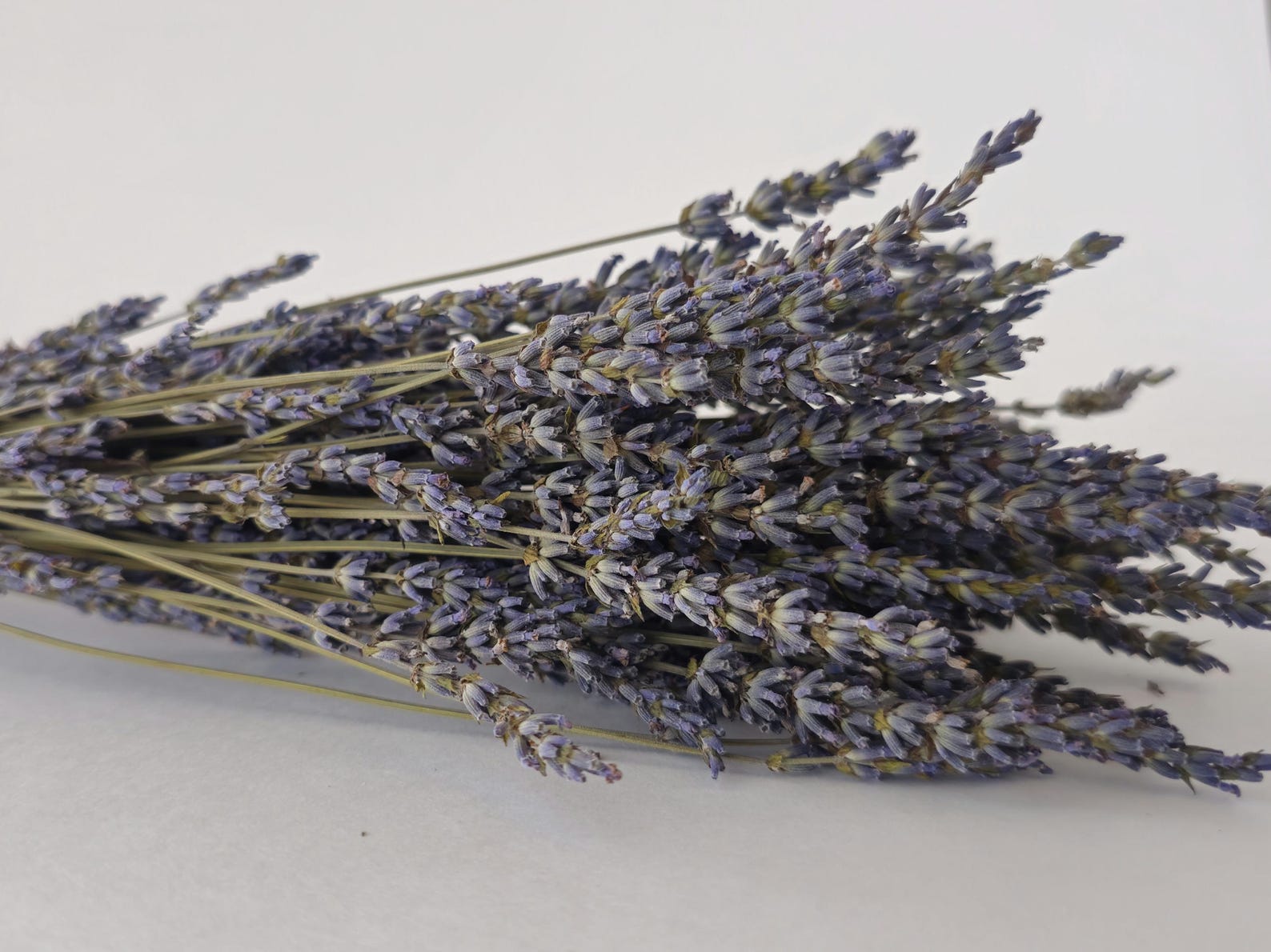 Fragrant Dried Lavender Bunch Handpicked Fragrant Purple, Variety ...