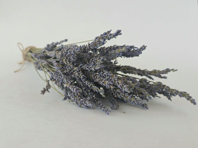 Fragrant Dried Lavender Bunch Handpicked Fragrant Purple, Variety ...