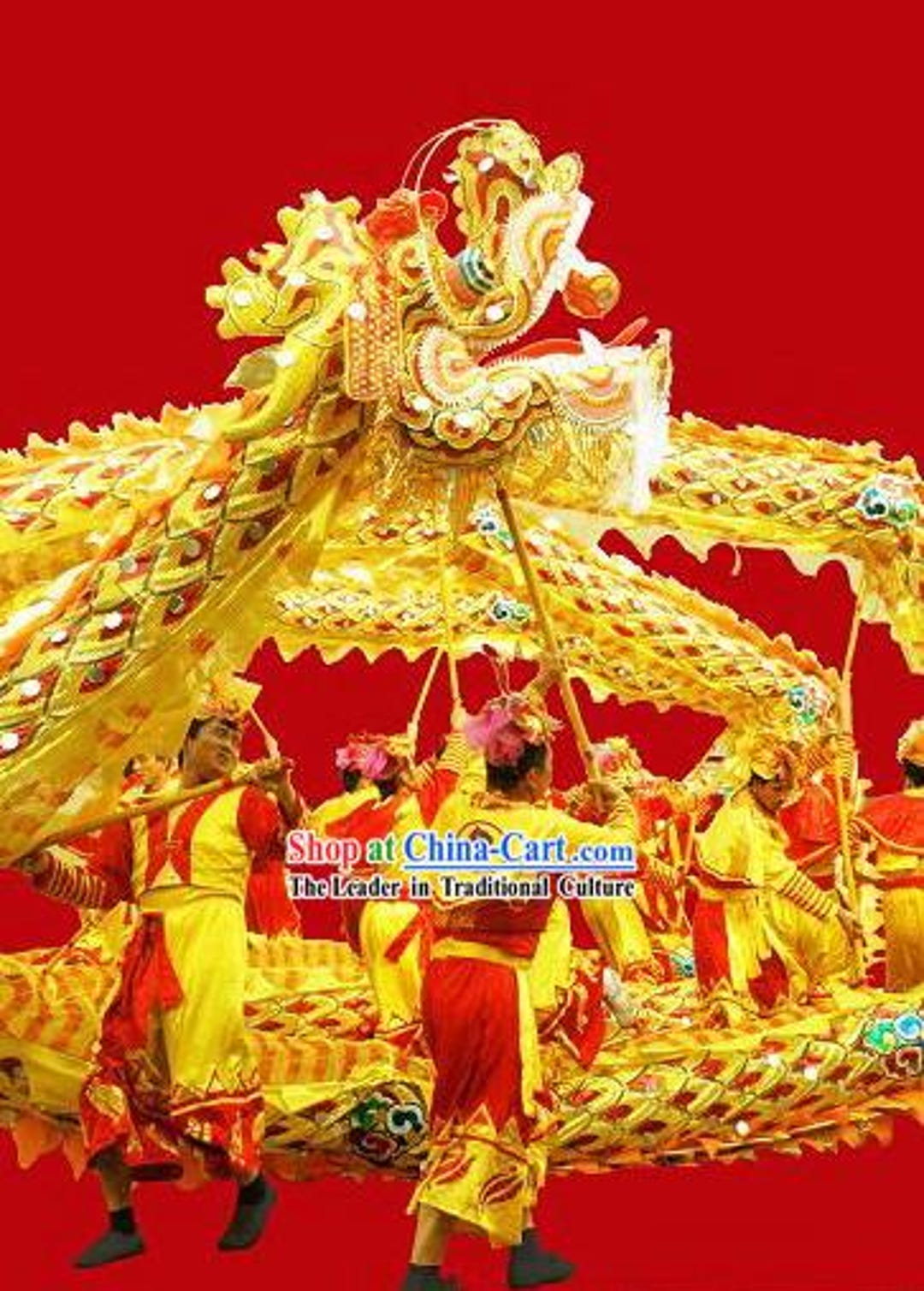 Handmade Adult Long Chinese Dragon Dance Costume Dragon Dancing Costume ...