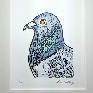 Pigeon Linocut With Watercolor Hand Pulled by Artist Lora Shelley - Etsy