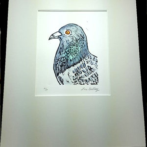 Pigeon Linocut With Watercolor Hand Pulled by Artist Lora Shelley - Etsy
