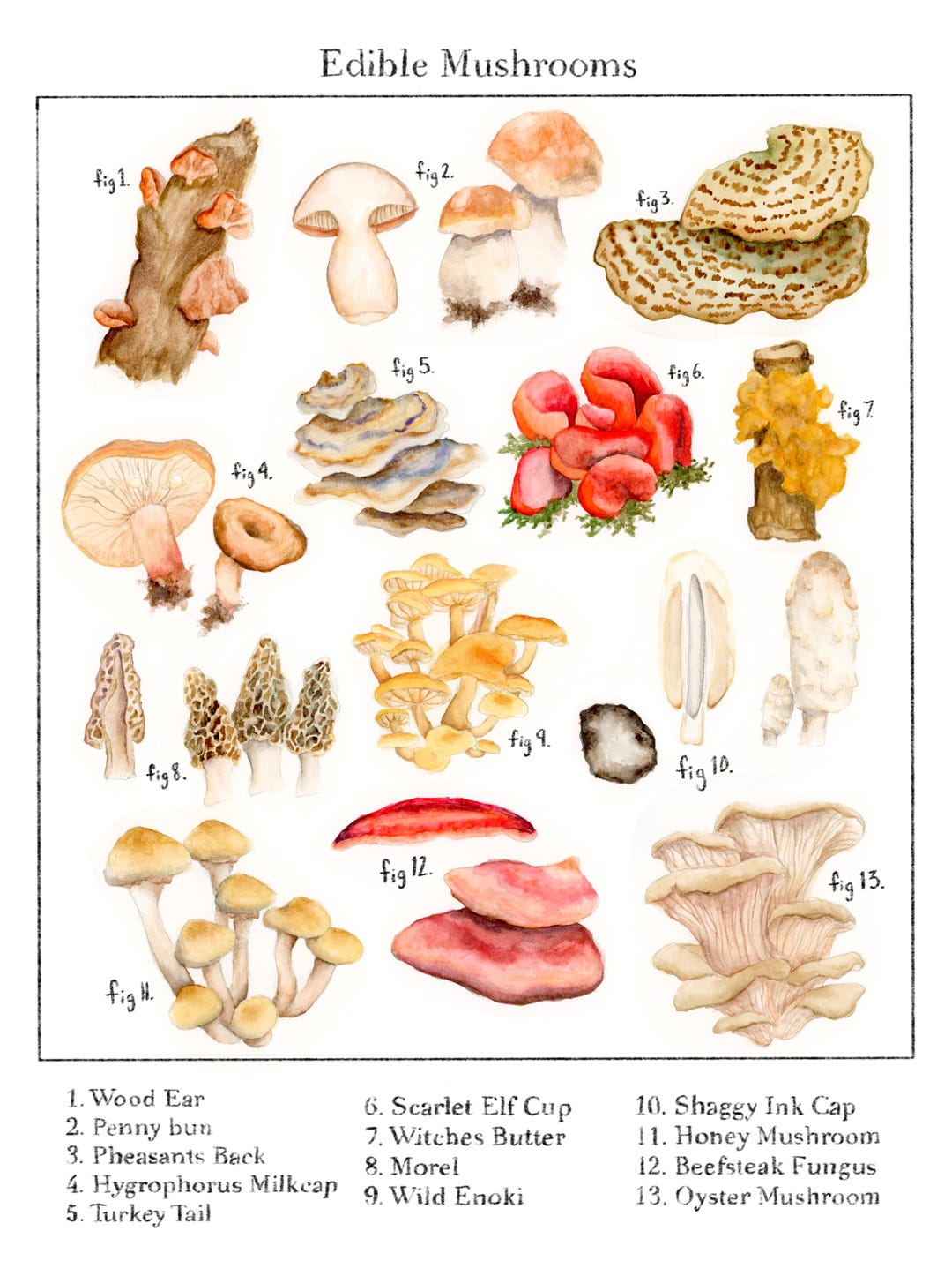 Edible Mushroom Print - Etsy