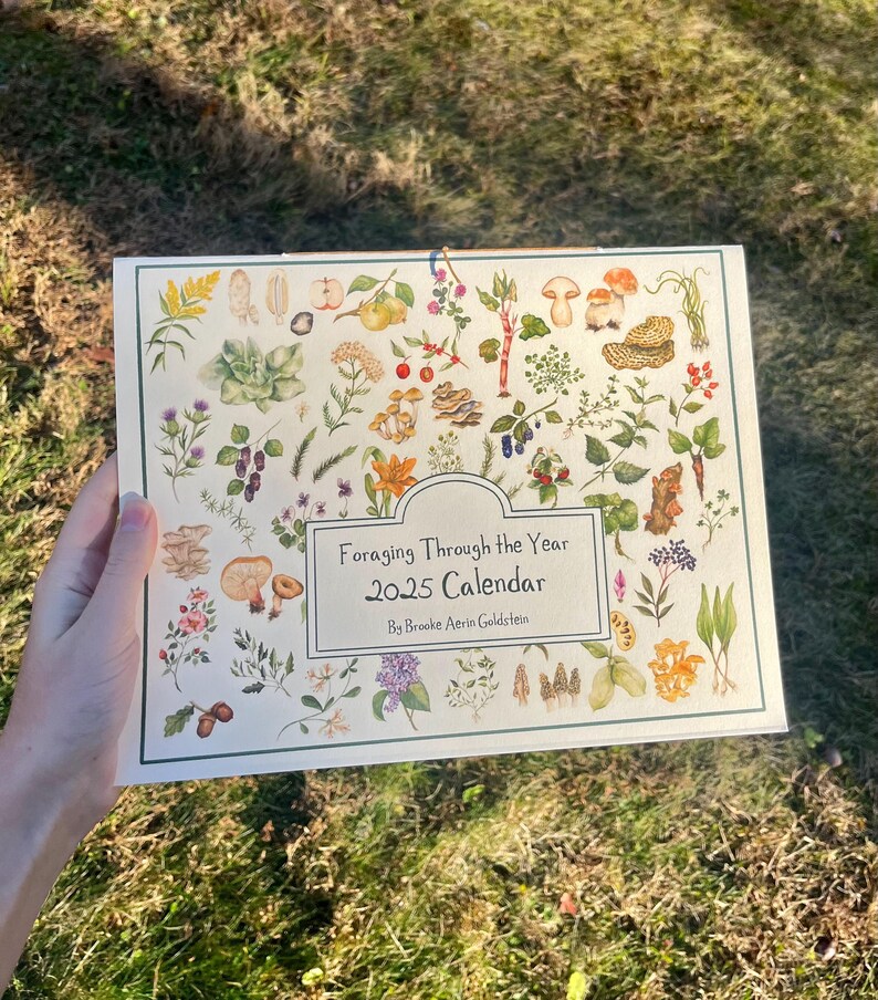 2025 Foraging Calendar - Etsy