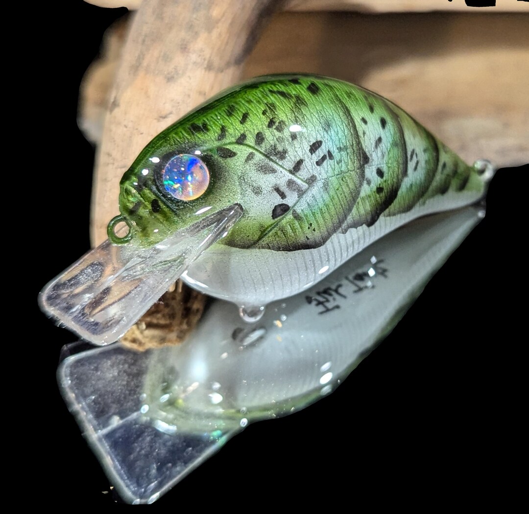 Custom Painted Crank Bait Fishing Lure - Etsy