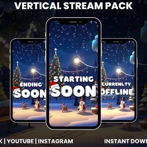 Snowy Starting Soon Screen - Etsy