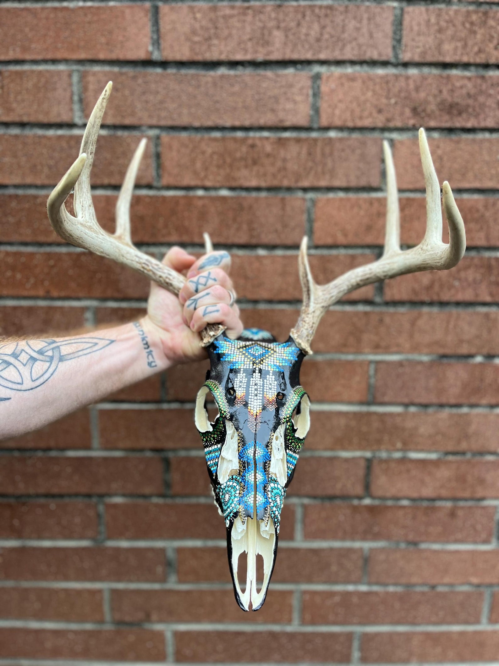 White Tail Deer Skull - Etsy