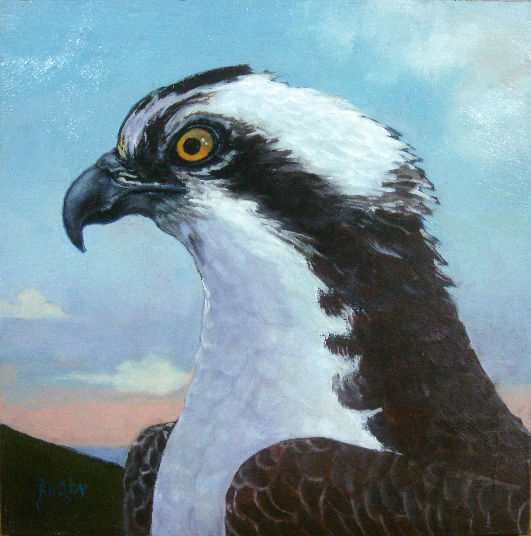 SEAHAWK FROM SEATTLE Original Oil Painting Colorful Spring Cloud Moon ...