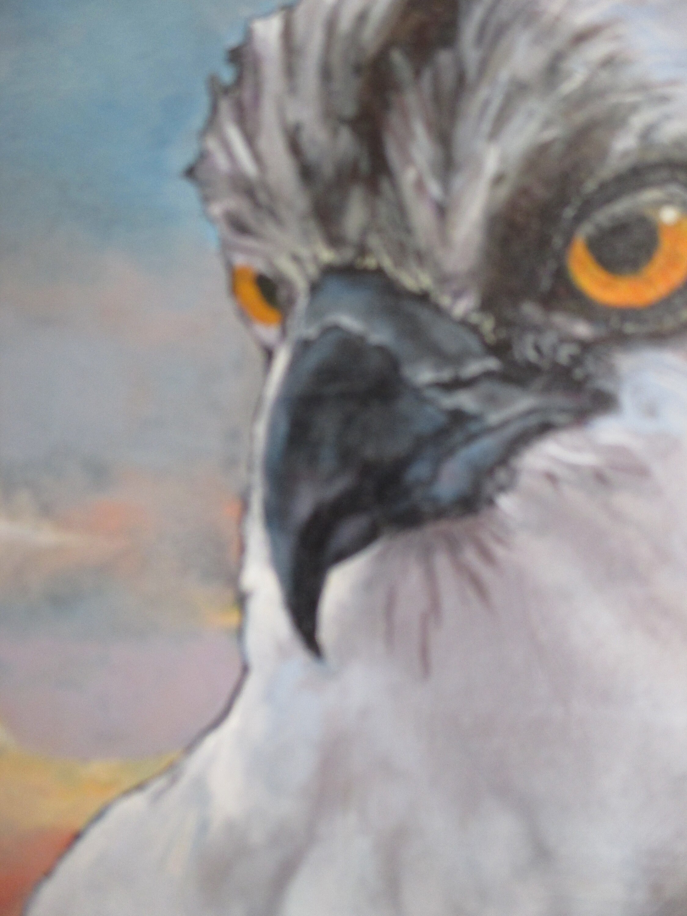 Seattle Seahawk Original Oil Painting colorido Nube de primavera Luna ...