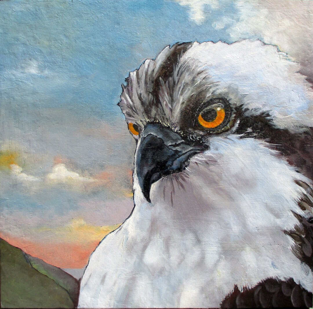 Seattle Seahawk Original Oil Painting Colorful Spring Cloud Moon Osprey ...