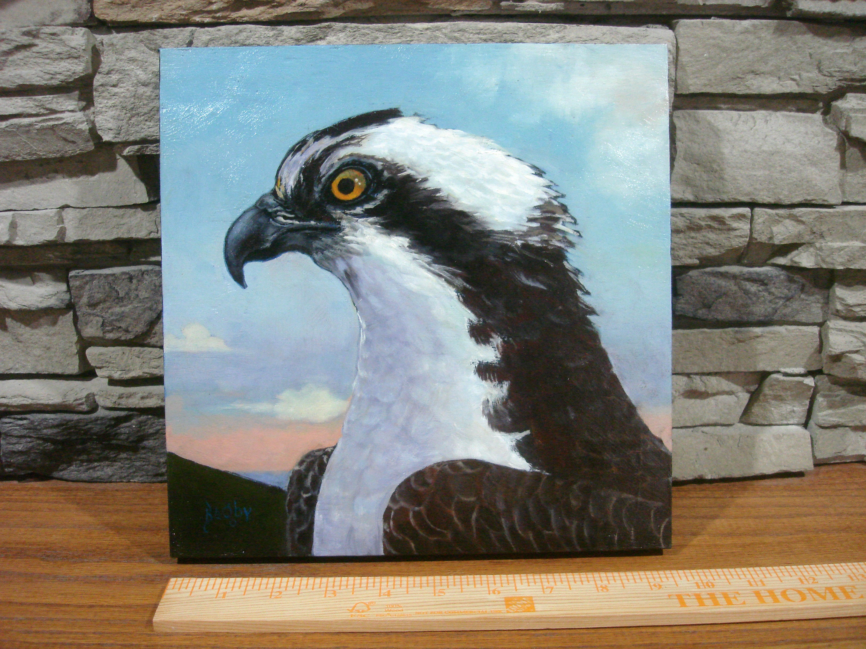 SEAHAWK FROM SEATTLE Original Oil Painting Colorful Spring Cloud Moon ...