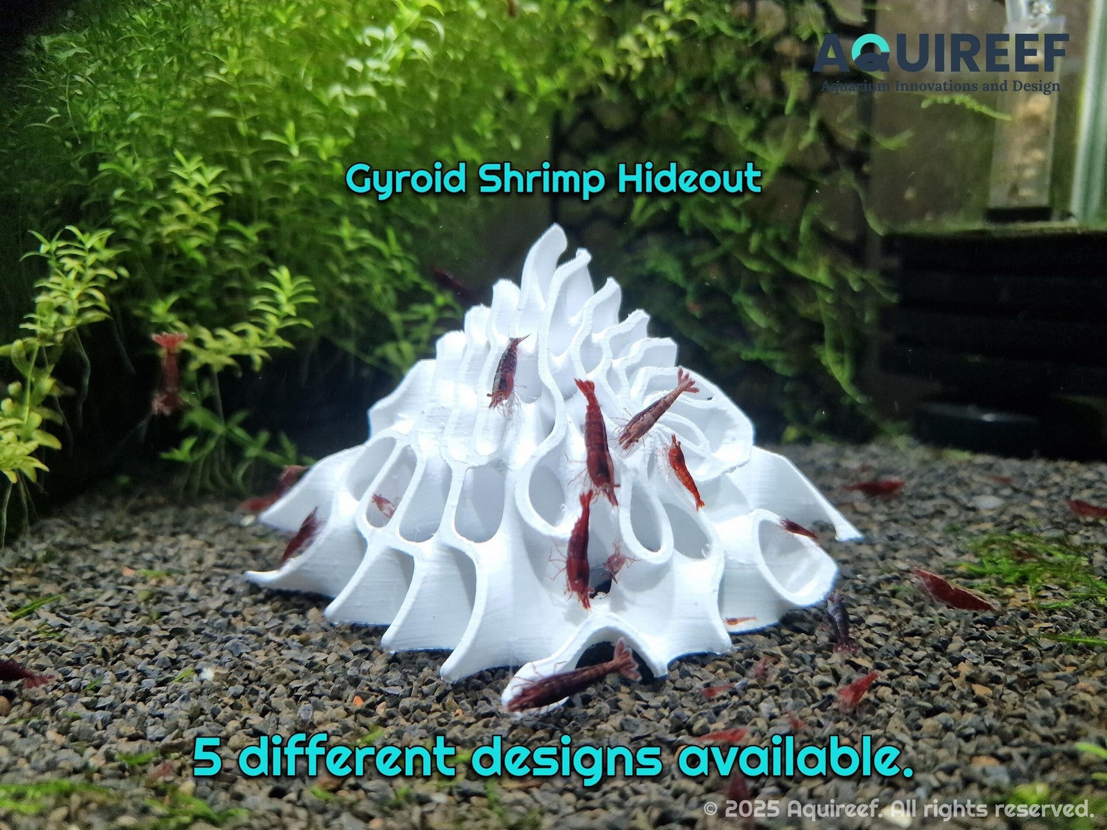 Gyroid Shrimp Tank Hide, 5 STL Designs, Shrimp Tank Decor, 3D Printable ...