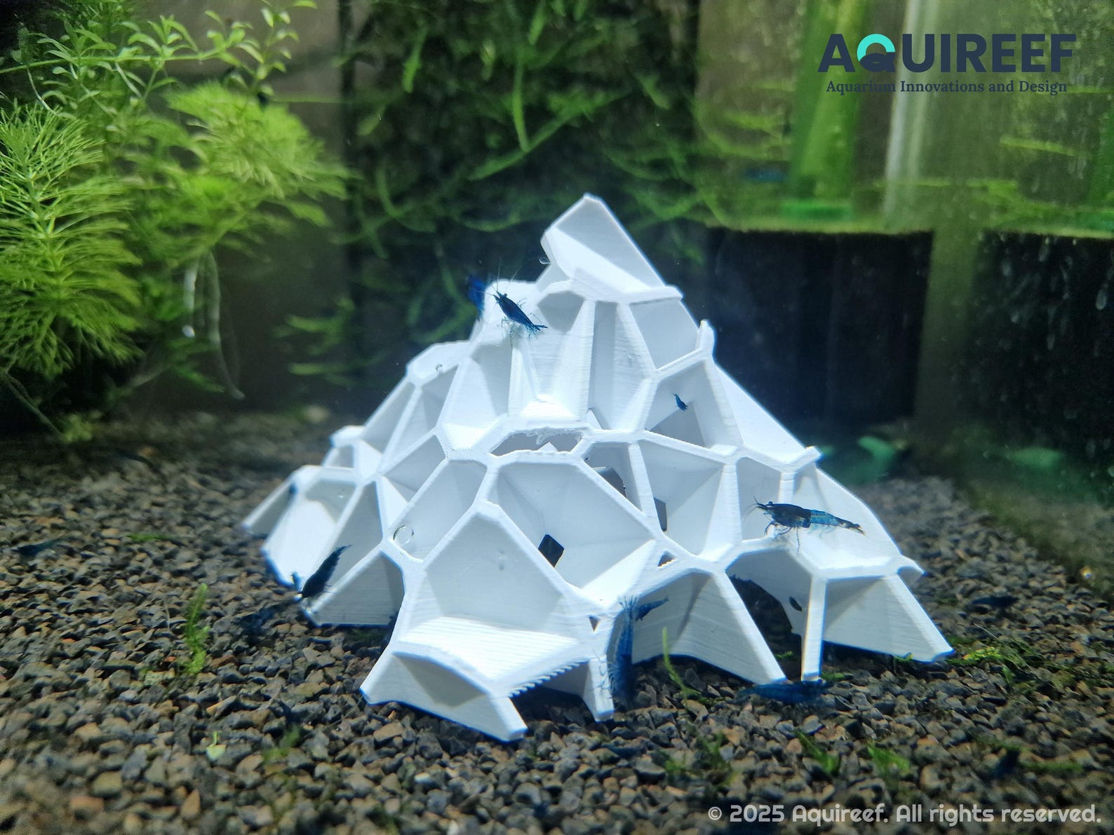 Shrimp Pyramid Cave: 5 Gyroid Designs, Shrimp Tank Hide, Aquarium ...