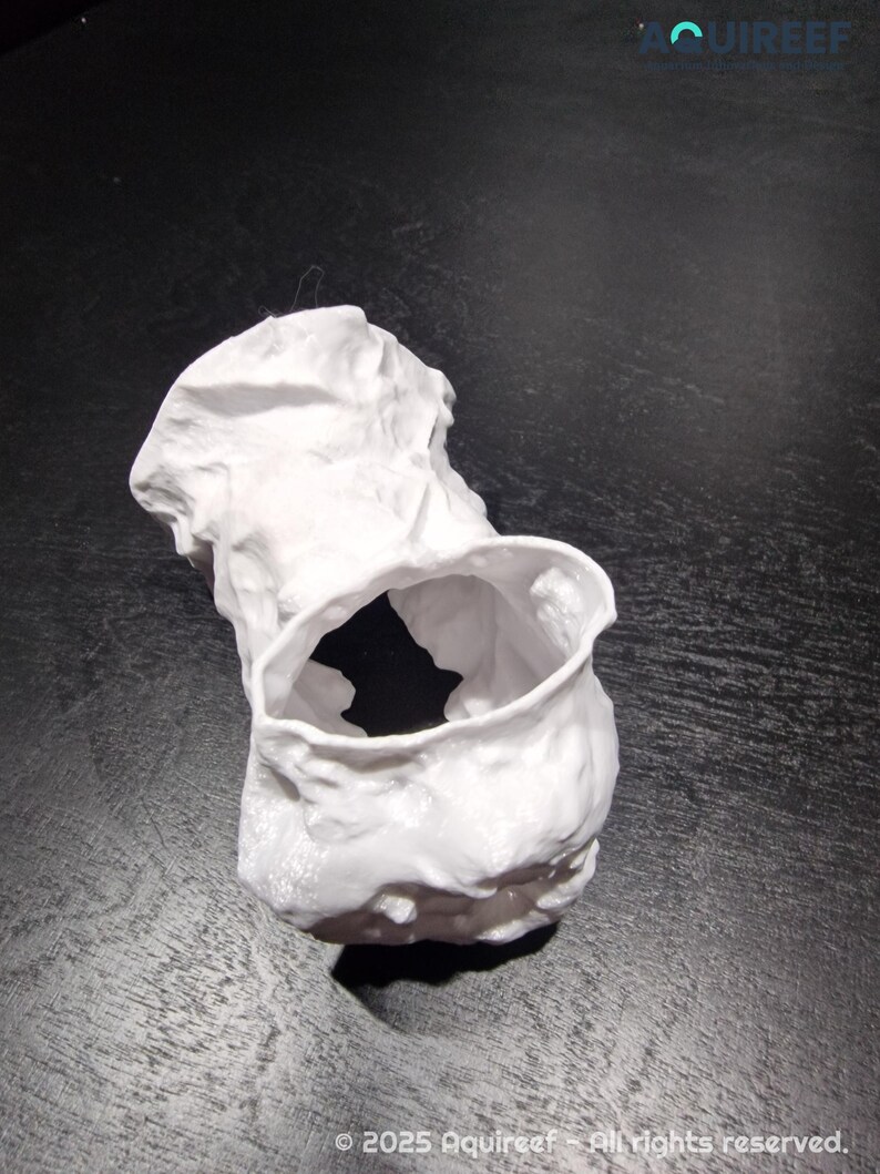 Vortex Cave STL File: 3D Printable Aquarium & Terrarium Hideout - Etsy