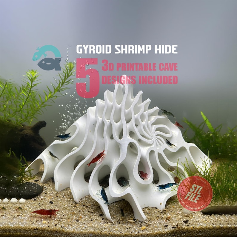 Shrimp Pyramid Cave: 5 Gyroid Designs, Shrimp Tank Hide, Aquarium ...