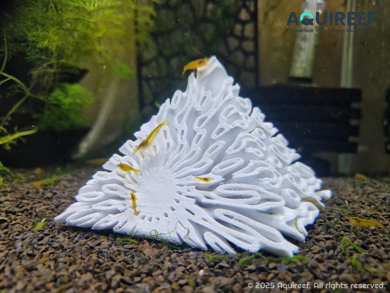 Shrimp Pyramid Cave: 5 Gyroid Designs, Shrimp Tank Hide, Aquarium ...