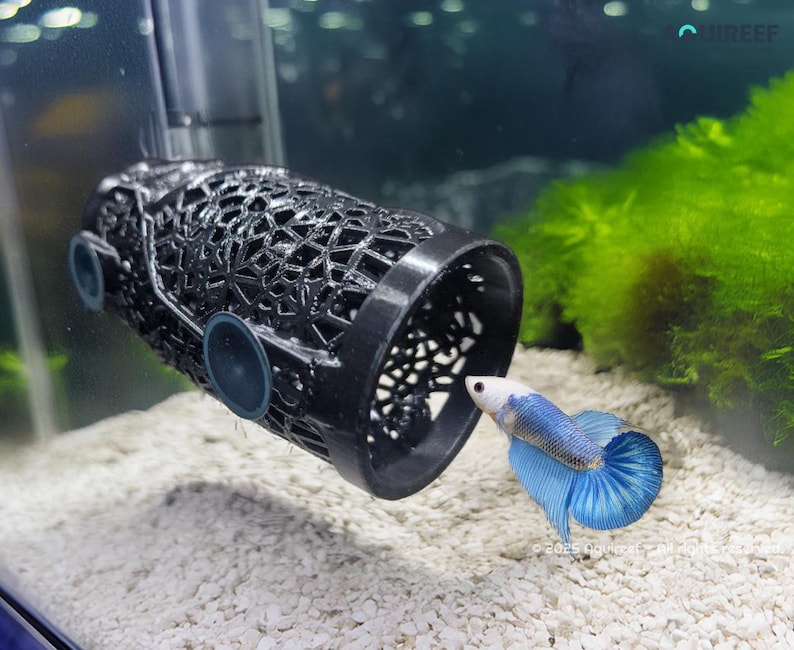 Betta Fish Hide Cave, 3D Printable Voronoi Aquarium Hideout, DIY Betta ...