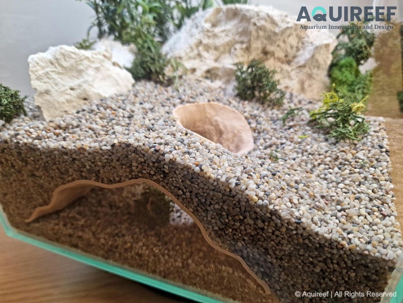 Reef Cave STL File: 3D Printable Aquarium & Terrarium Decor (digital ...