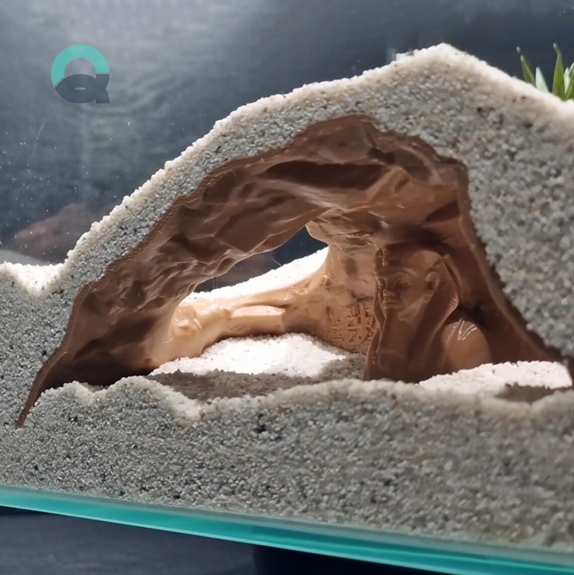 Underground Reptile and Fish Cave - Egypt Theme, Aquarium & Terrarium ...