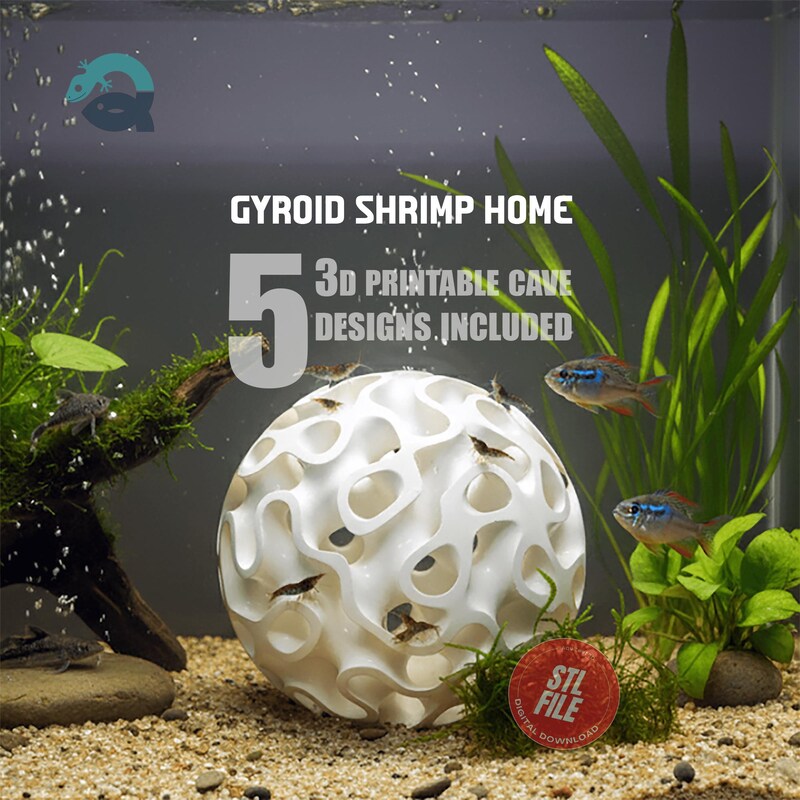 Printed Shrimp - Etsy UK