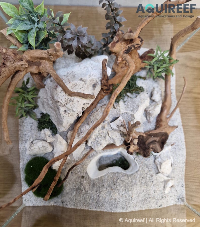 Coralite 3D Printable Aquarium Cave Fish Hide, Terrarium Decoration ...