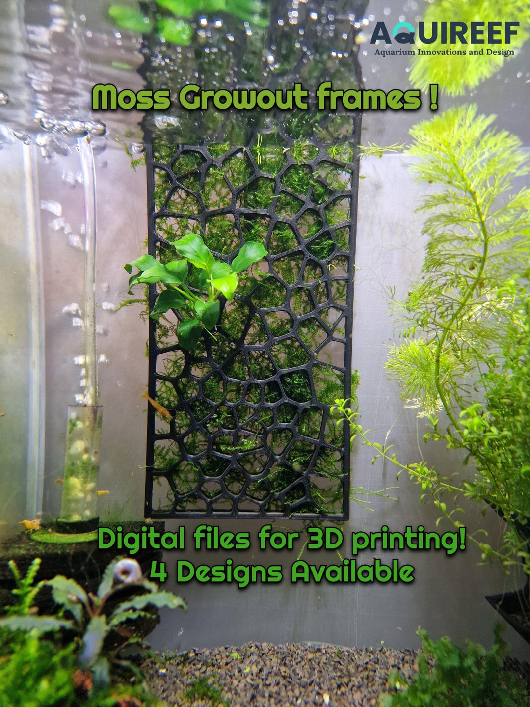 3D Printable Moss Growout Frame STL | Aquarium Plant Wall Design | Fish ...