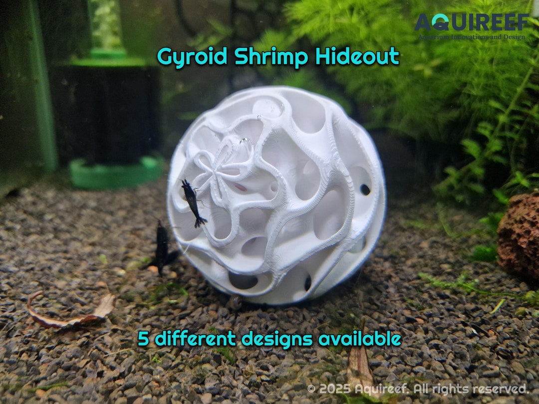 Shrimp Hideout 3D Print | Nano Tank Shrimp House | Aquarium Shrimp ...