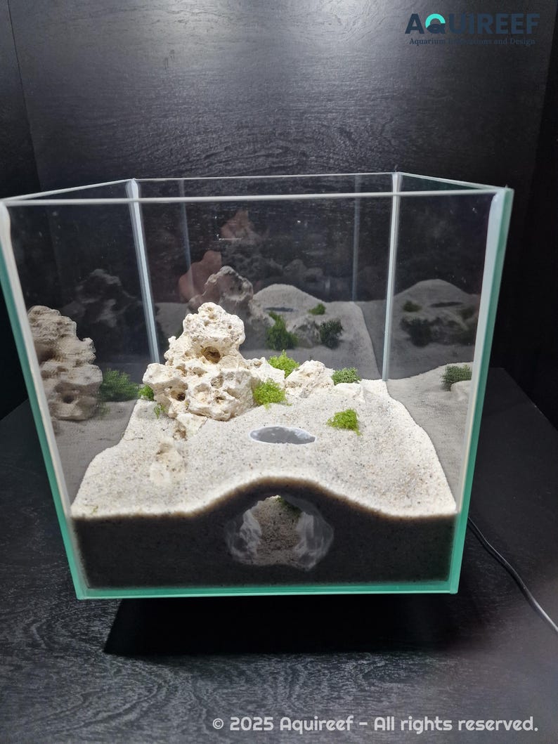 Vortex Cave STL File: 3D Printable Aquarium & Terrarium Hideout - Etsy
