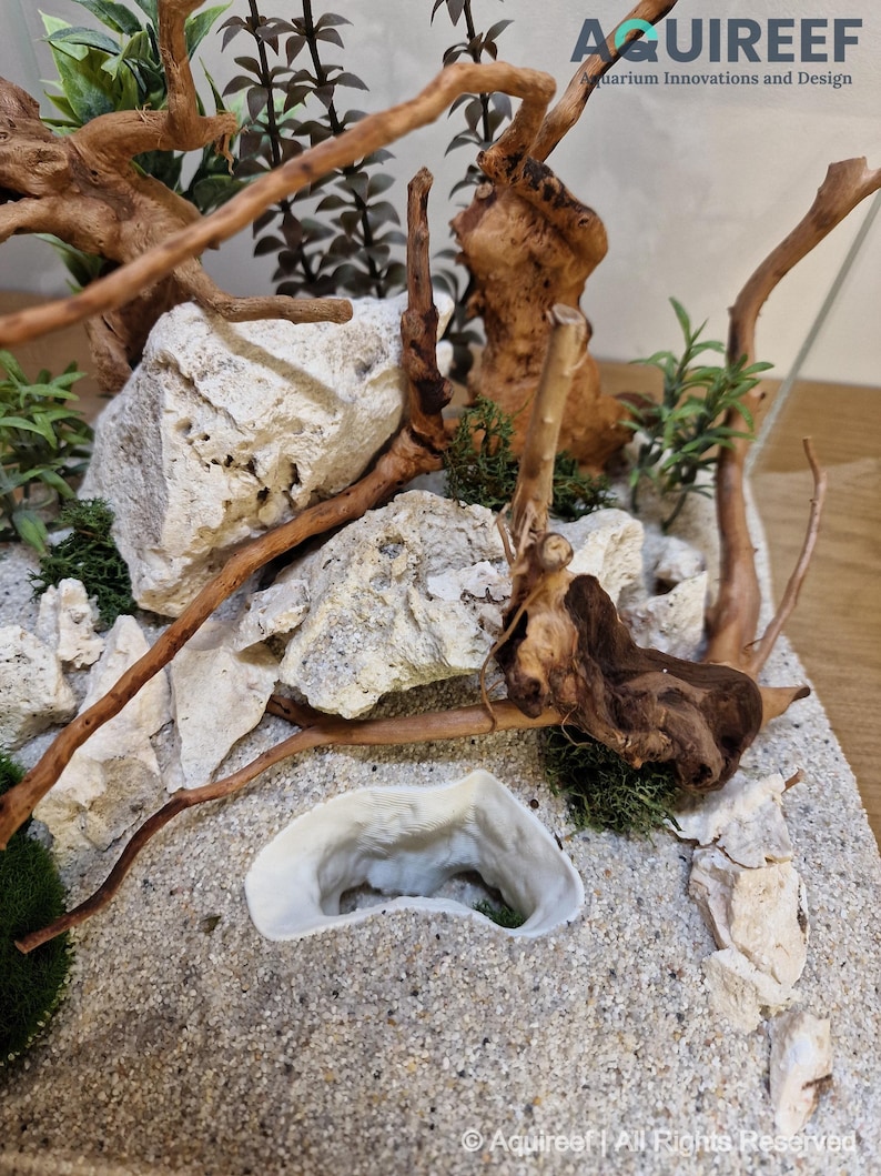 Coralite 3D Printable Aquarium Cave Fish Hide, Terrarium Decoration ...