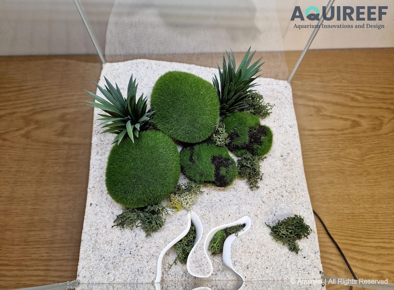 Wave Aquarium & Terrarium Cave | Fish, Amphibian, Reptile, Lizard ...