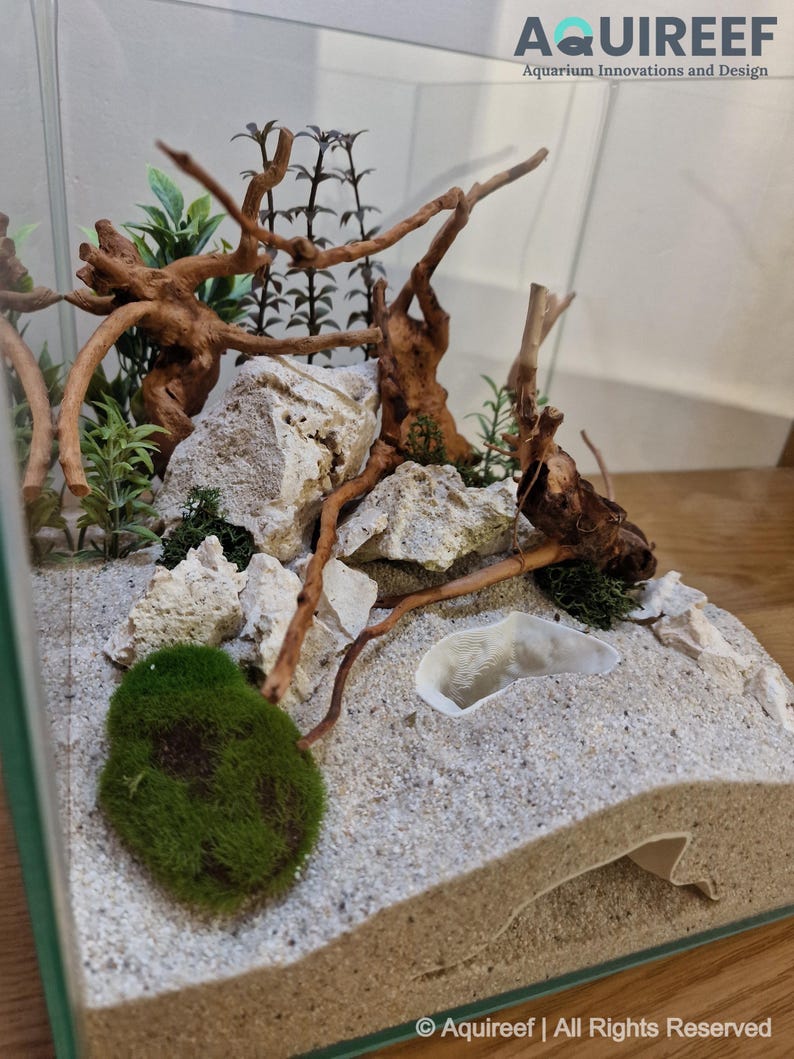 Coralite 3D Printable Aquarium Cave Fish Hide, Terrarium Decoration ...