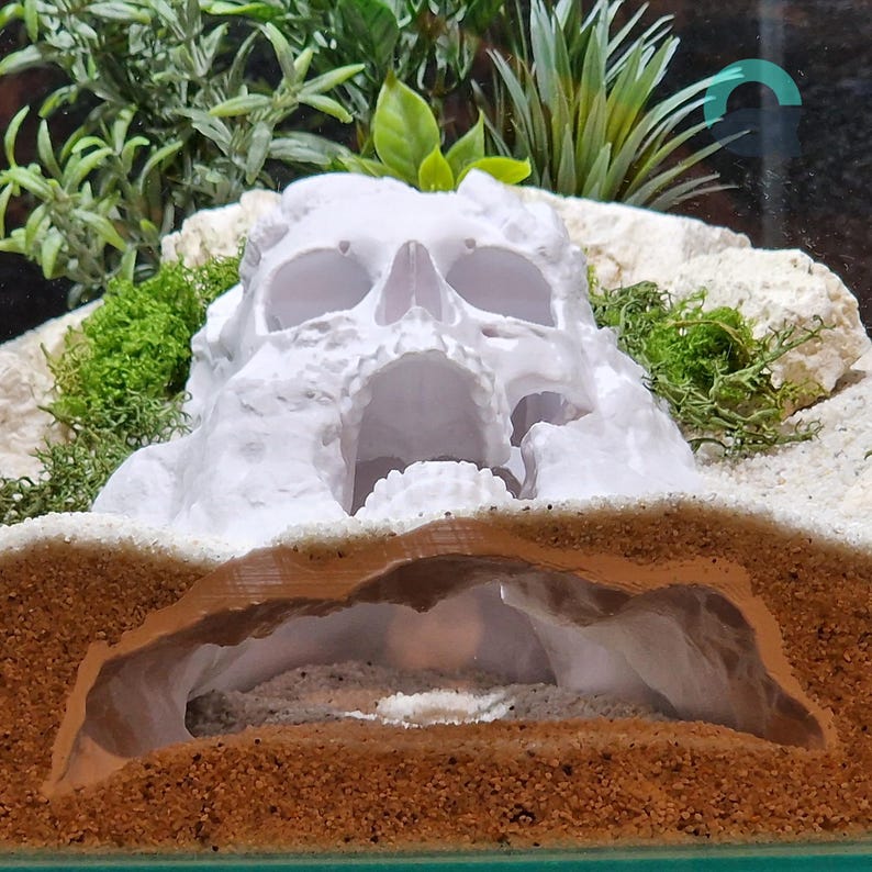 Terrarium & Aquarium Skull Hide – Pirate Cave for Fish, Reptiles ...