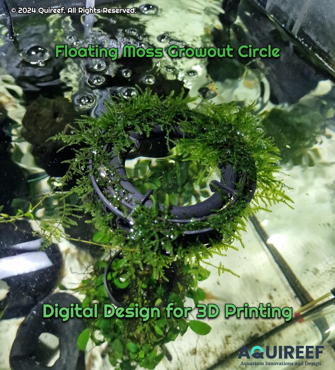 Aquarium Moss Holder | Plant Floater | Aquarium Plant Floater | 3D ...