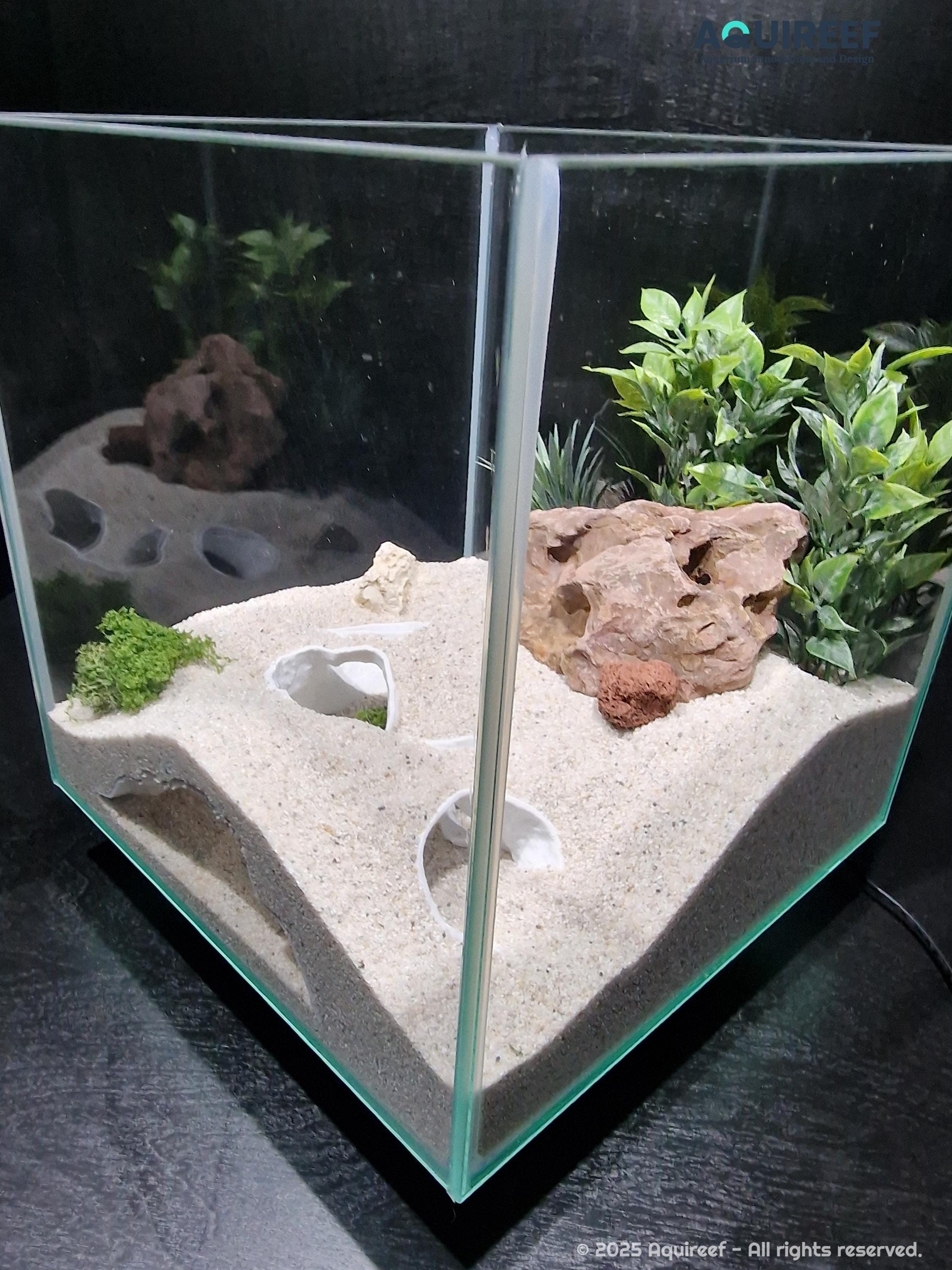 Vivarium Big Observation Cave, Aquarium Terrarium Decor, Fish, Crab ...