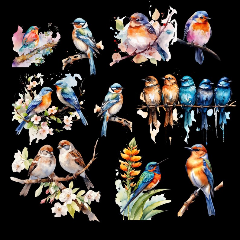 Watercolor Birds Clip Art, Tiny Colorful Birds Clipart, Bird Png ...