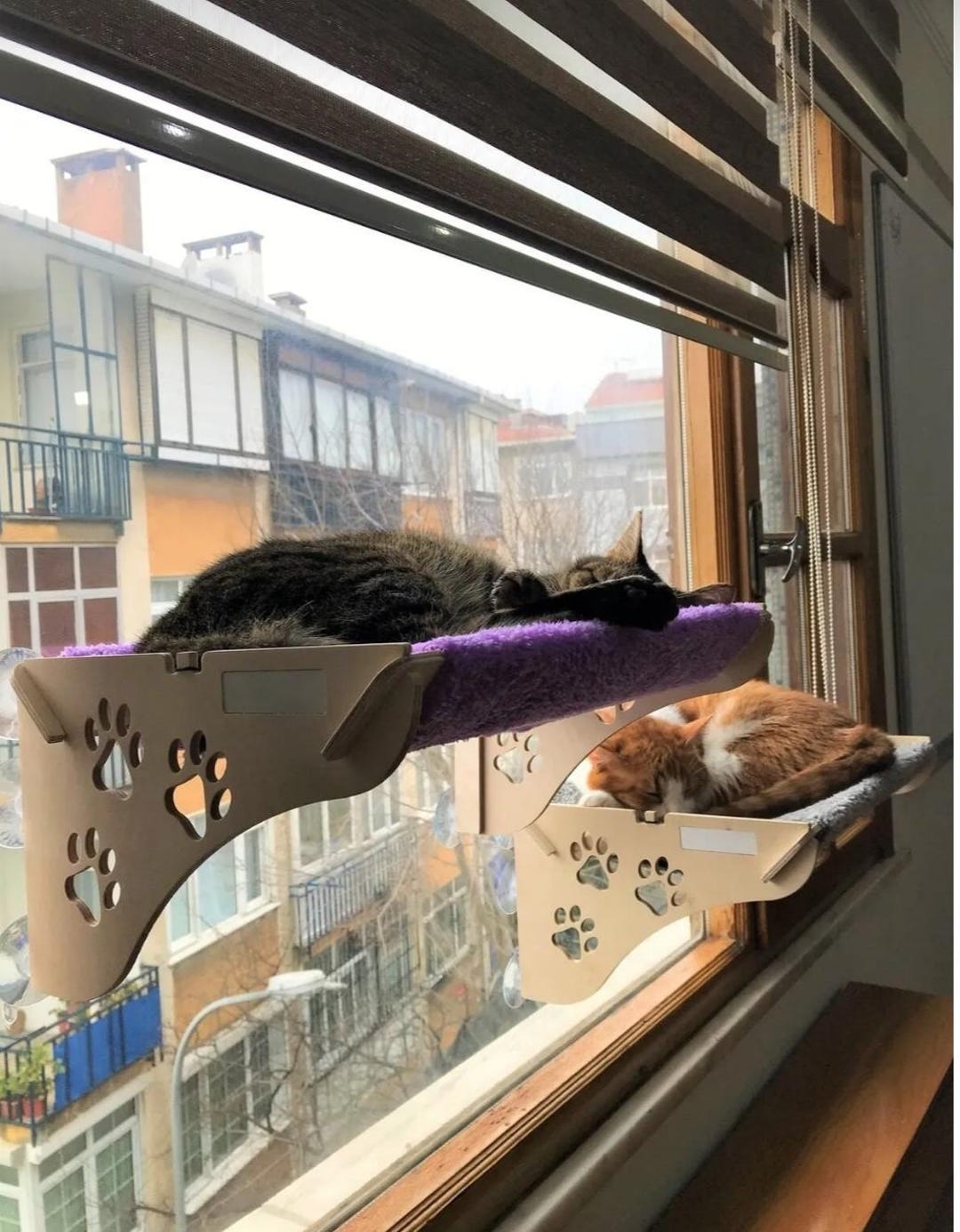 Cat Window Perch,cat Window Bed,cat Shelf,cat Hammock,pet Furniture,cat ...