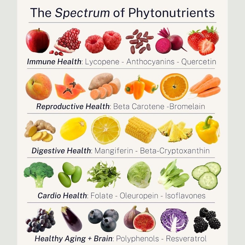 Nutrition Guide in Pictures - Use It for Printing, Presentations ...