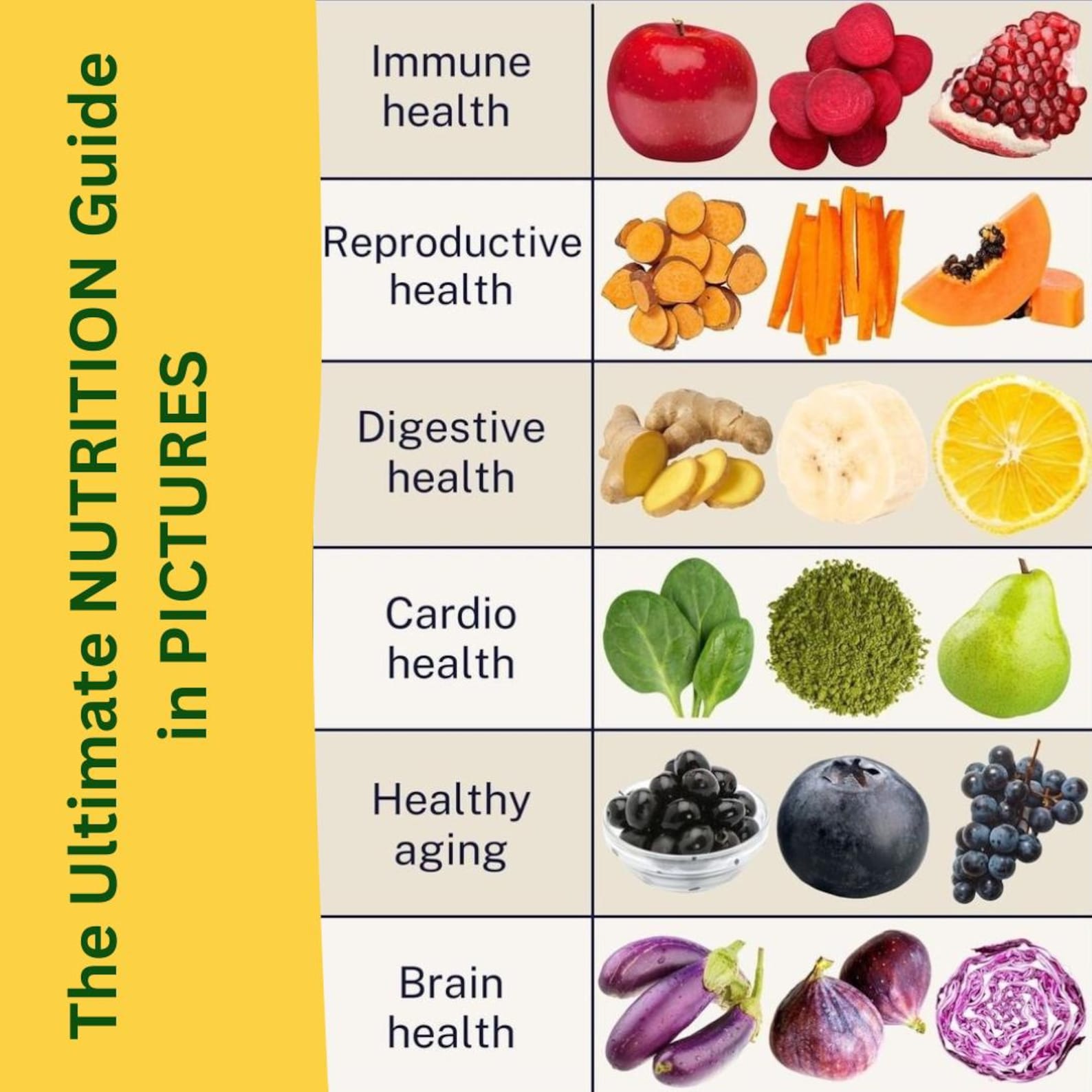 Nutrition Guide in Pictures - Use It for Printing, Presentations ...
